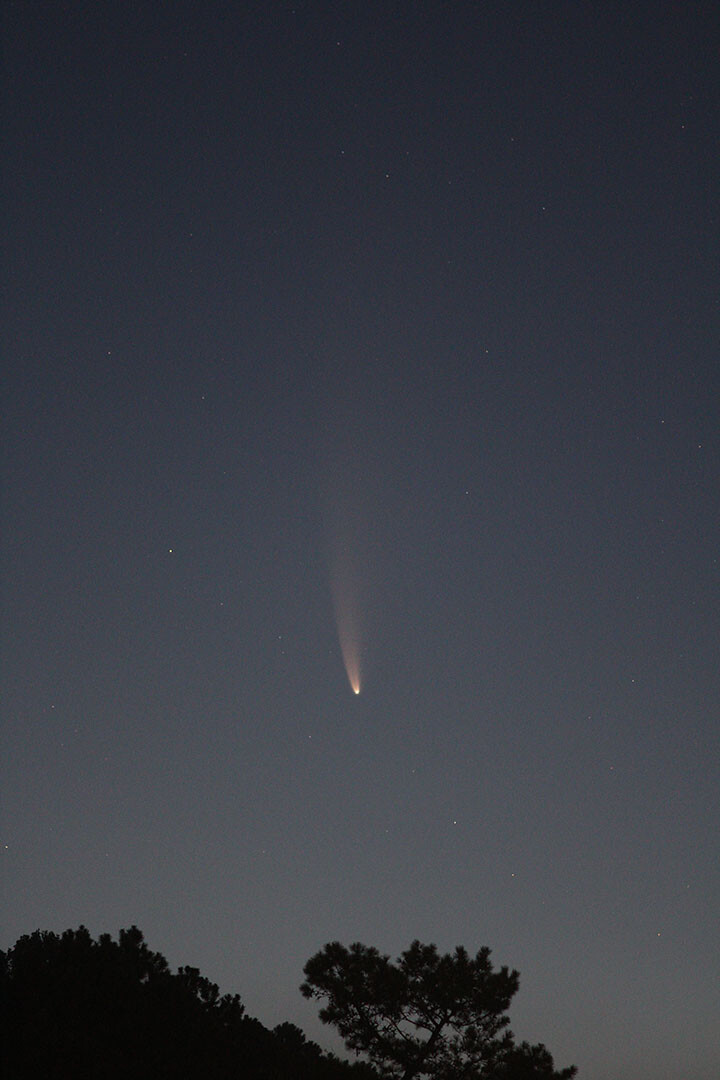 Comet NEOWISE Gallery – Raleigh Astronomy Club